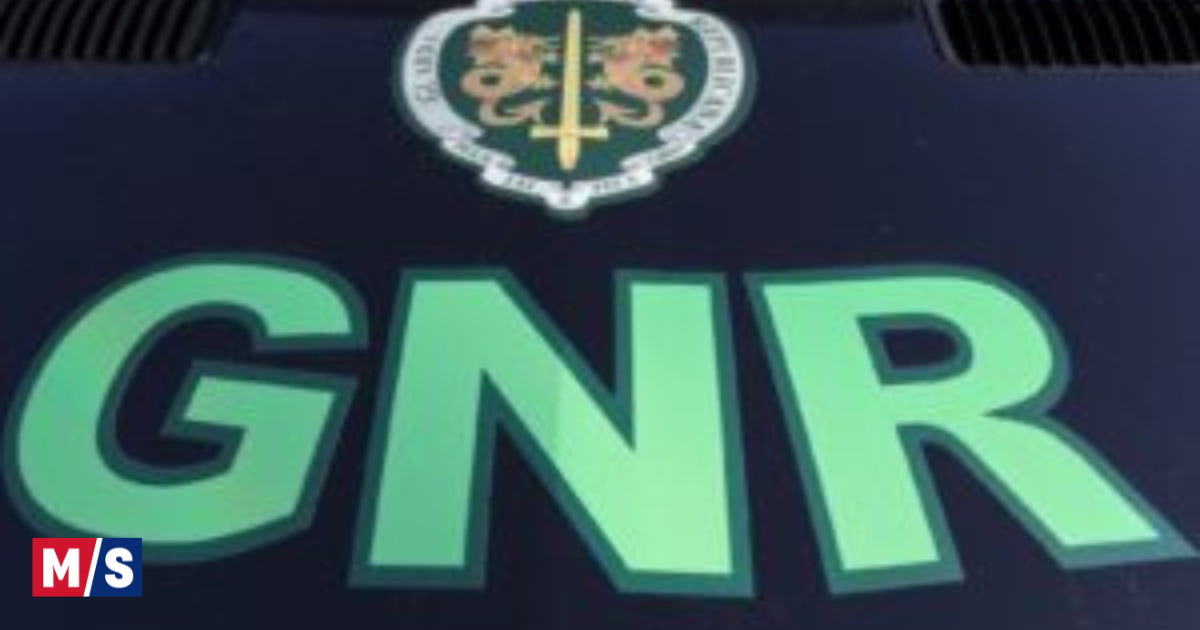 GNR lança operação 'Floresta Segura' para sensibilizar e reduzir o ...