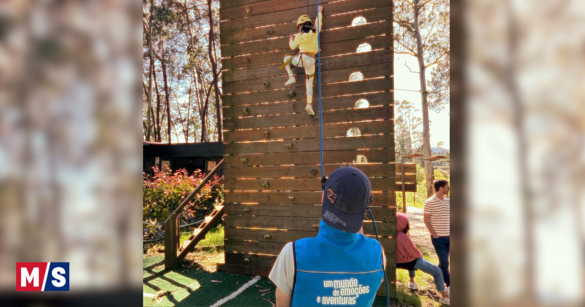RATES PARK expõe trilho jurássico com oito dinossauros gigantes - MAIS ...